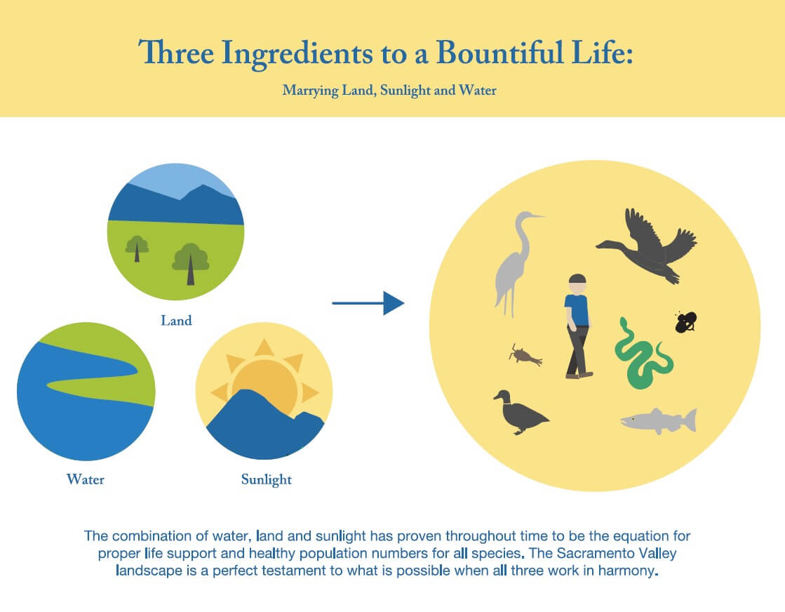 A Time for Thanksgiving-- Health and Wellness in Our Communities