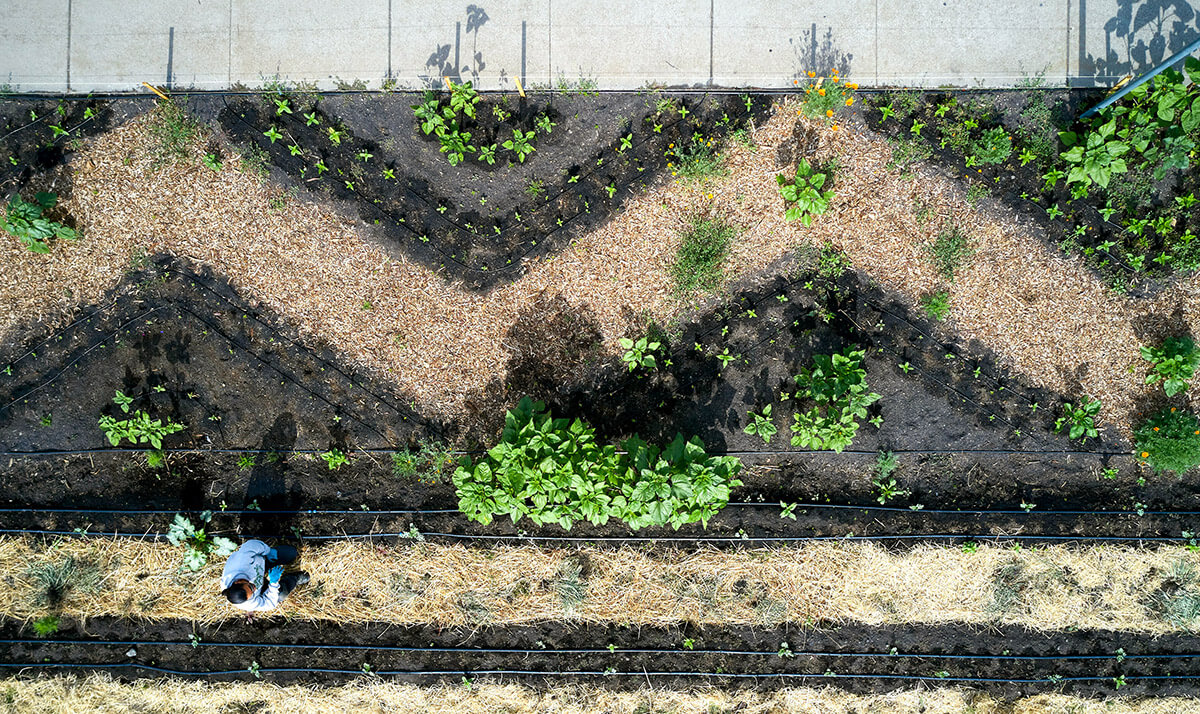 The Center for Land-Based Learning Launches Farming for Our Future Video Series