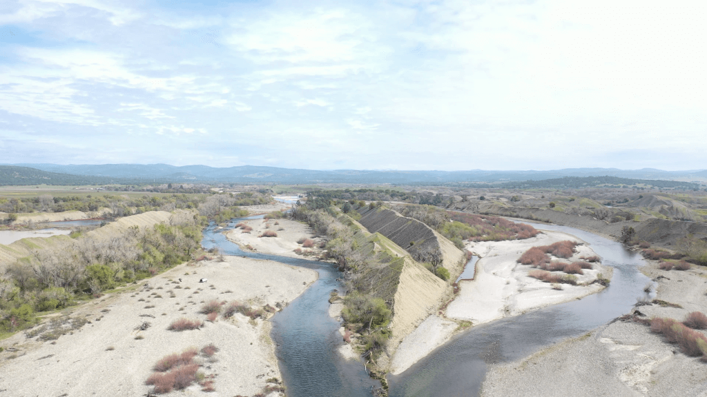 Celebrating large-scale habitat restoration on the lower Yuba River and ...