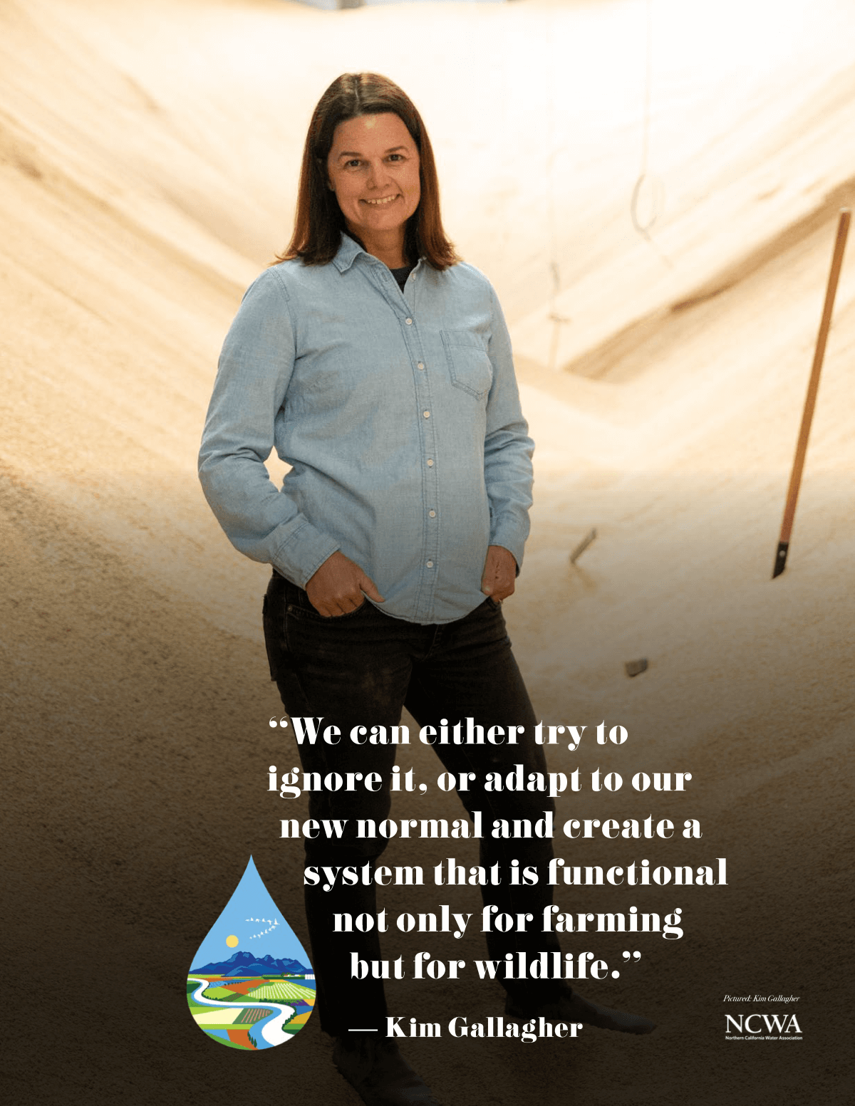 The Art of Adaptation - Kim Gallagher