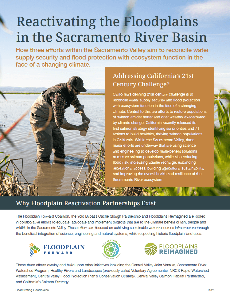 Reactivating the Floodplains in the Sacramento River Basin