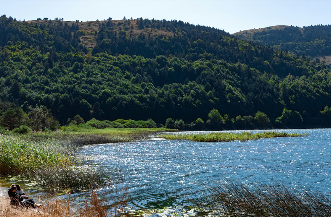 Explore Water-Based Recreation Across Northern California